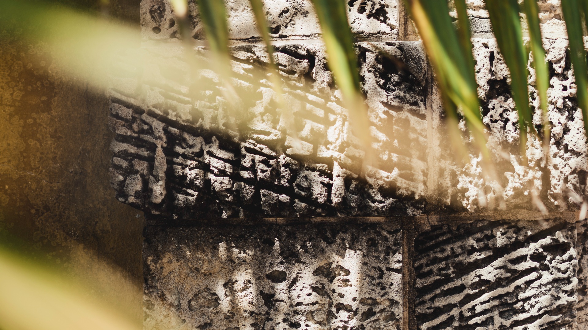 Explorar Coconut Grove | Mayfair House Hotel & Garden